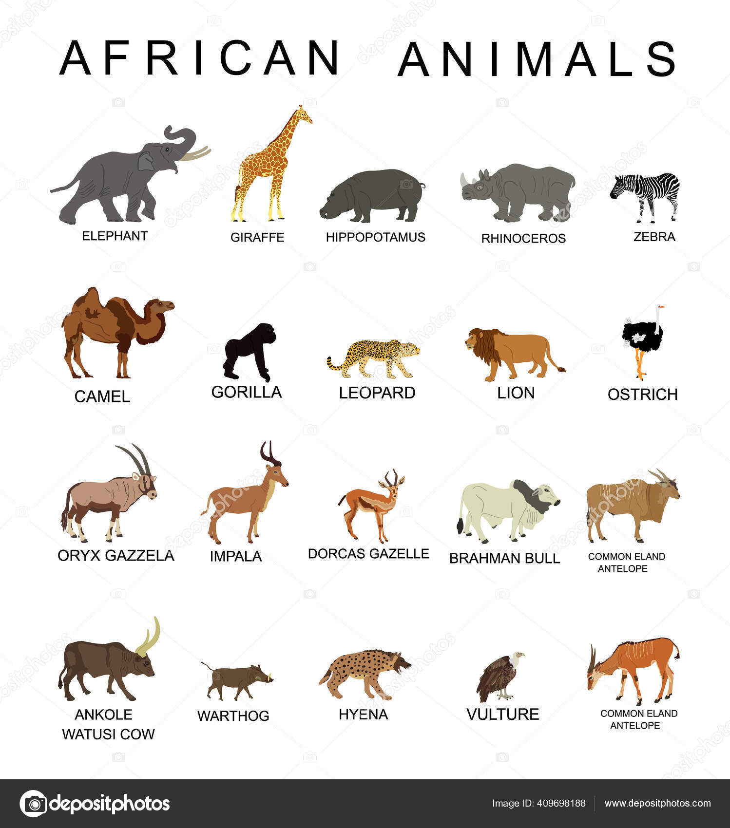 African Animals Names Matching Worksheet Savanna Animals | All Kids
