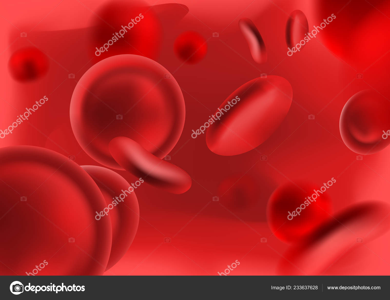Erythrocyte Hemoglobin