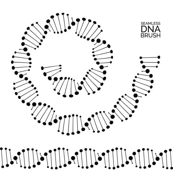 Human Dna Chain Genome Helix Isolated Vector Illustration Structural ...