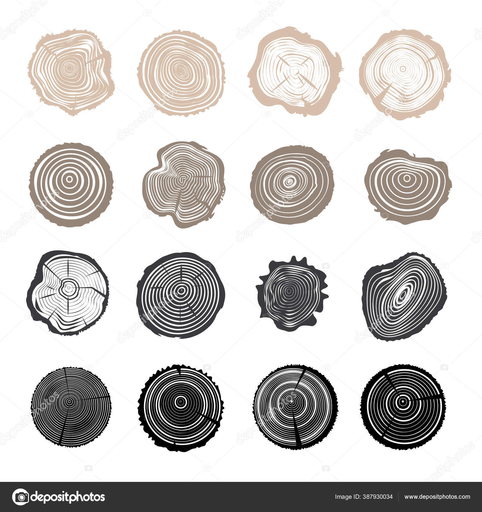 Tree Trunk Cut Icons Cross Sections Symbols Set Stump Rings Stock ...