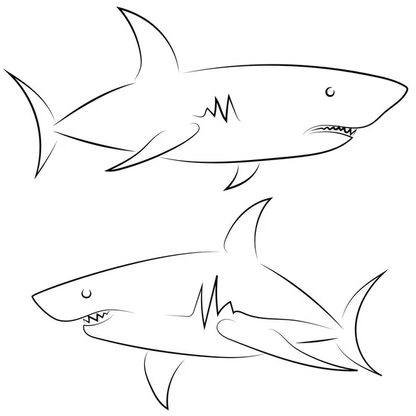 Shark, tattoo — Stock Vector © flanker-d #2203716