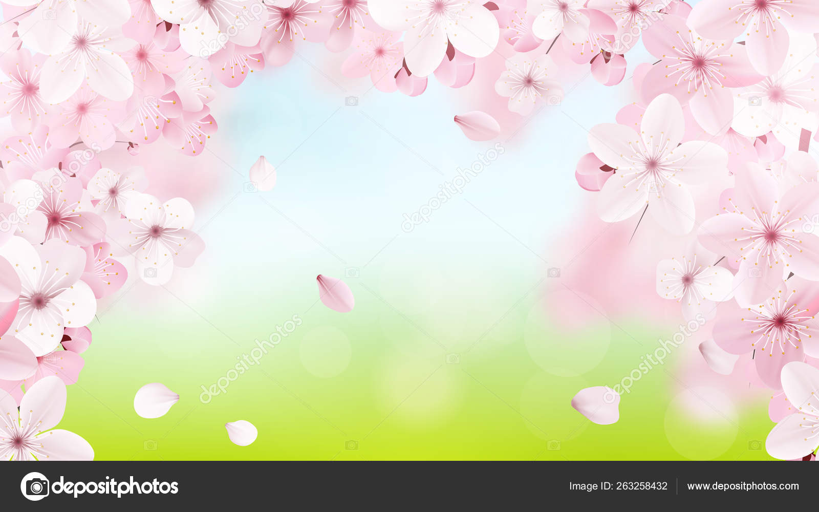 Light Pink Flower Background Design | Best Flower Site
