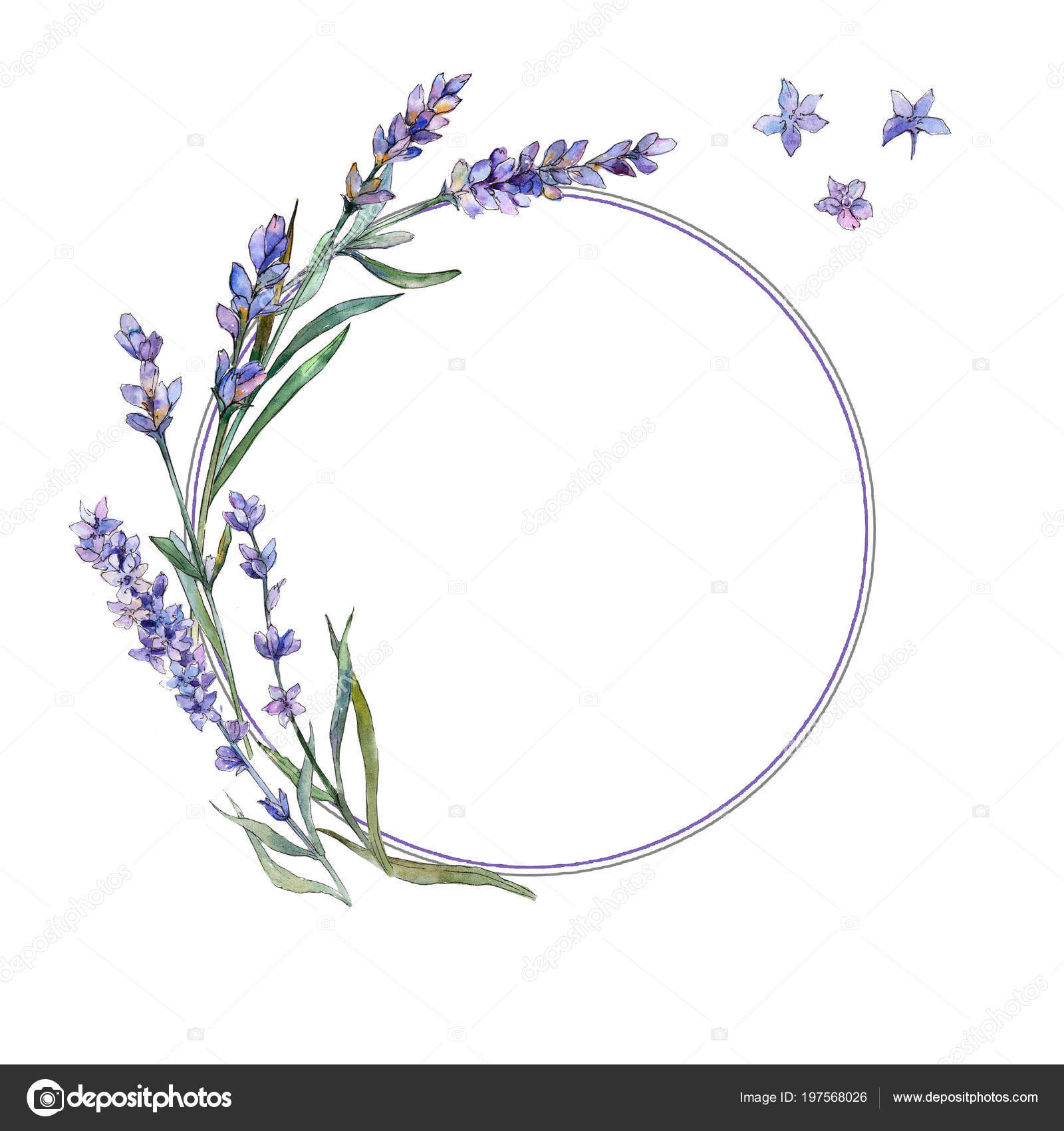 Lavender Circle