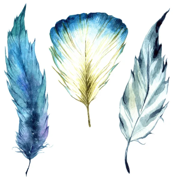Watercolor bird feather from wing isolated. Stock Illustration by ...