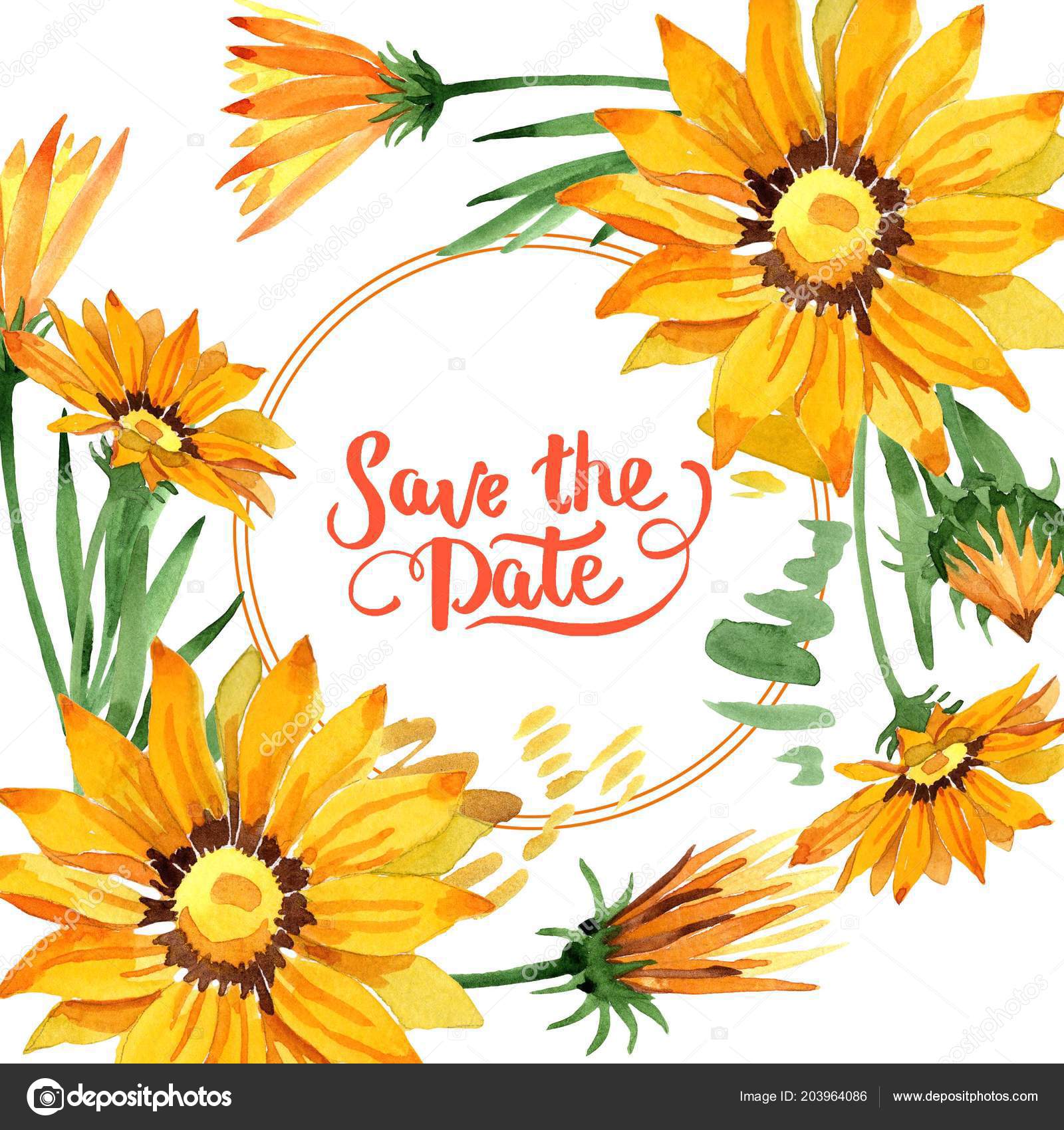 Yellow Gazania Flowers Frame Border Ornament Square Aquarelle ...