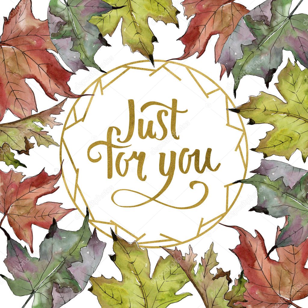 Acuarela hojas de arce verde y rojo. Planta de hojas de jard n bot nico follaje floral. Marco ...