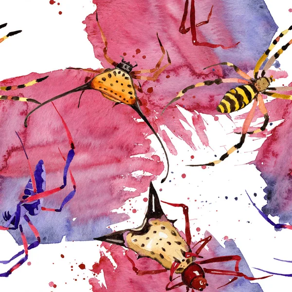 Exotic spiders wild insect in a watercolor style. Seamless background ...