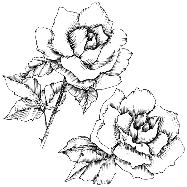 Flowers Images For Drawing With Names | Best Flower Site