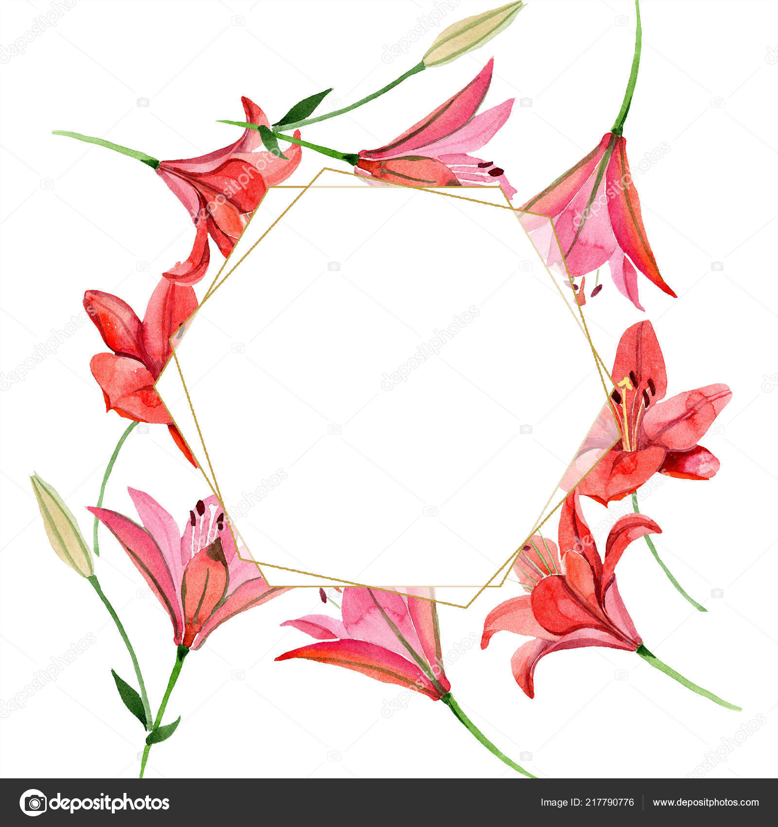 Watercolor Red Lily Flower Floral Botanical Flower Frame Border ...