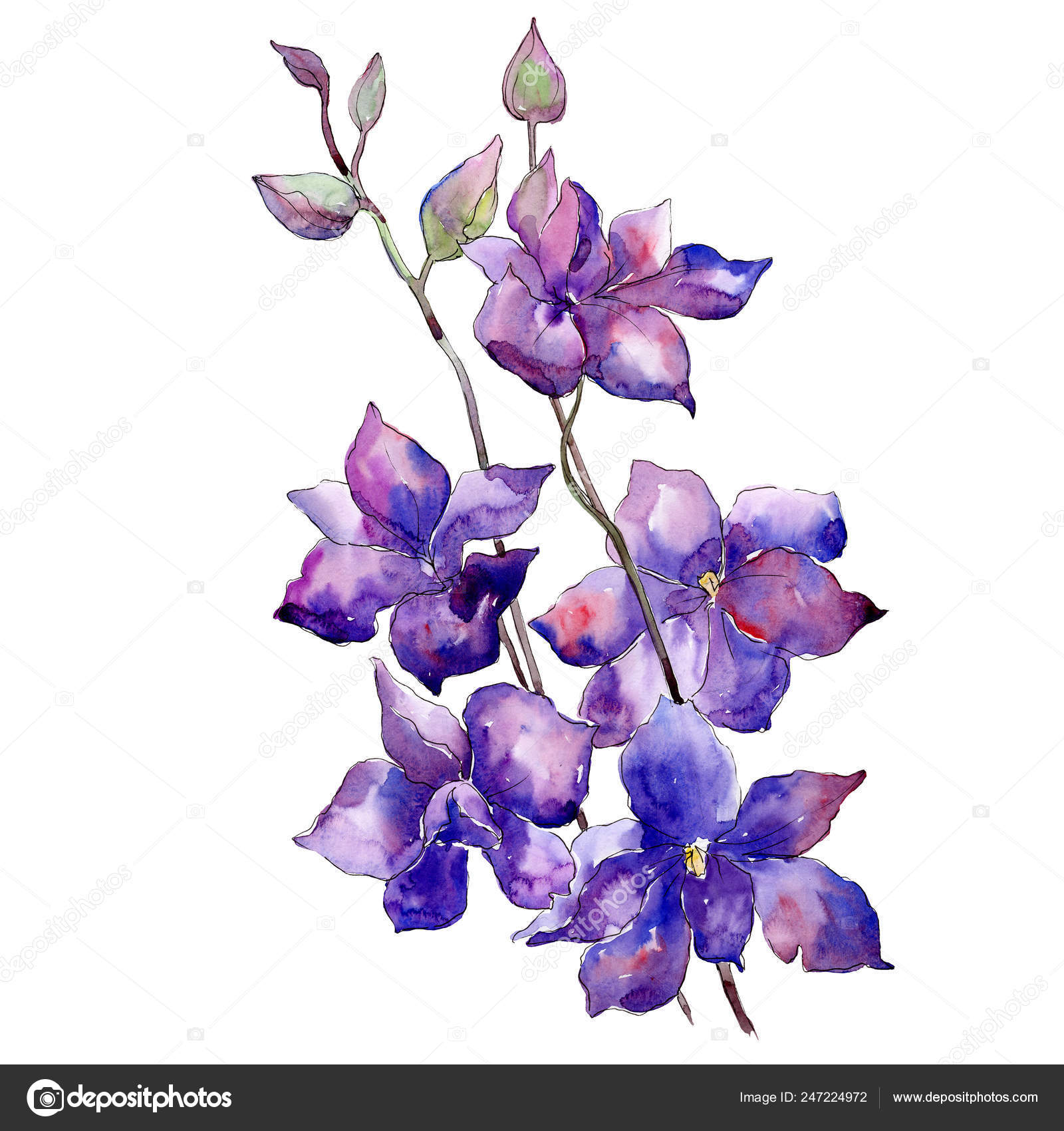 Purple Delphinium Bouquet