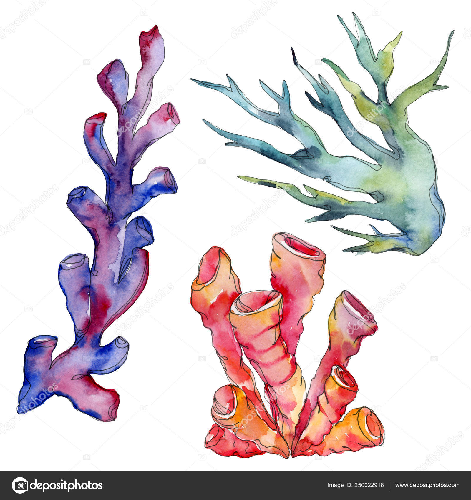 Ocean Coral Reef Drawing