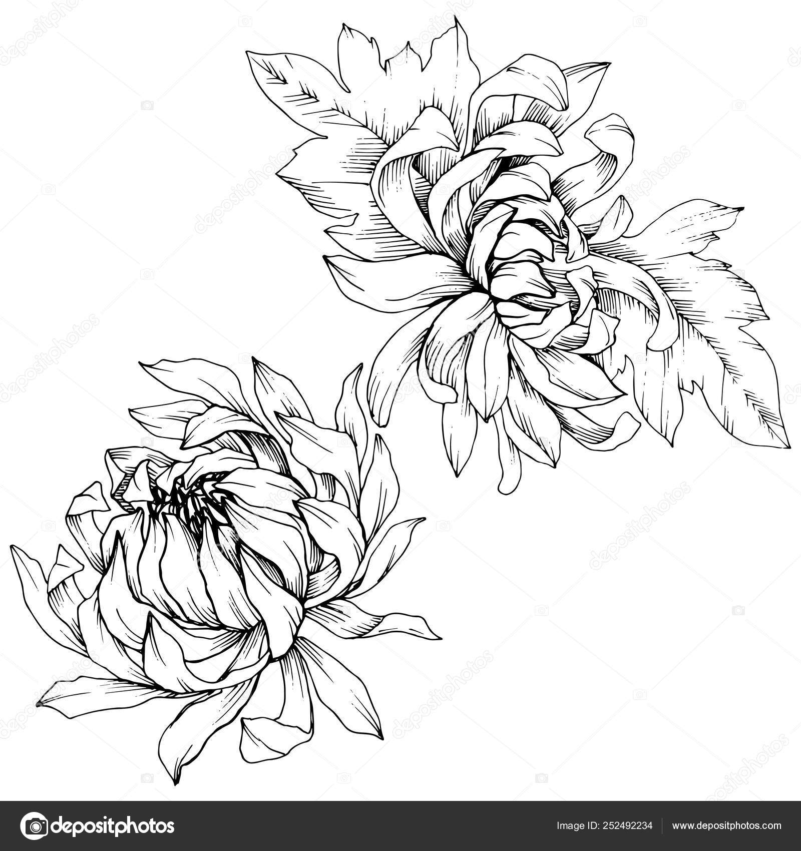 Black Ink Art Flowers