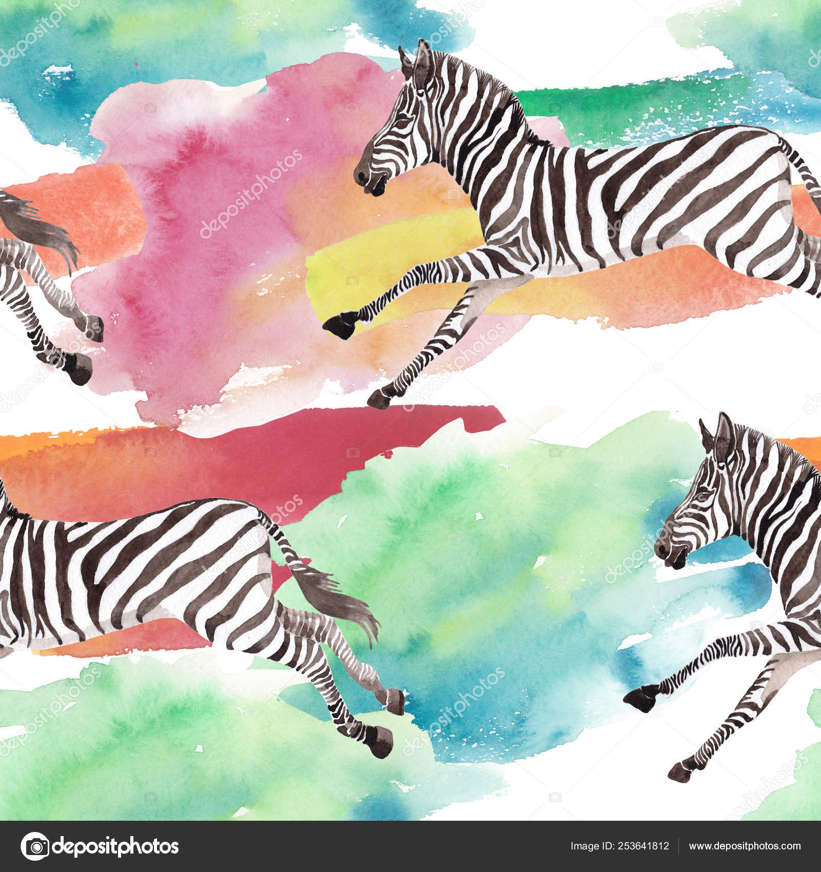 Exotic zebra wild animal in a watercolor style. Watercolor background ...