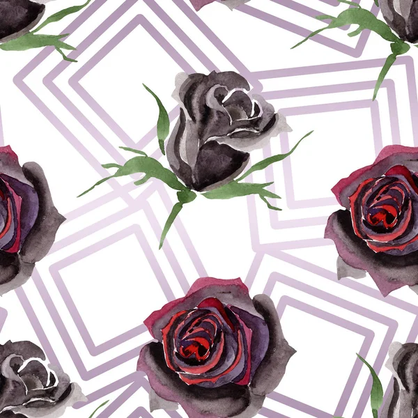 Black rose floral botanical flowers. Watercolor background illustration ...
