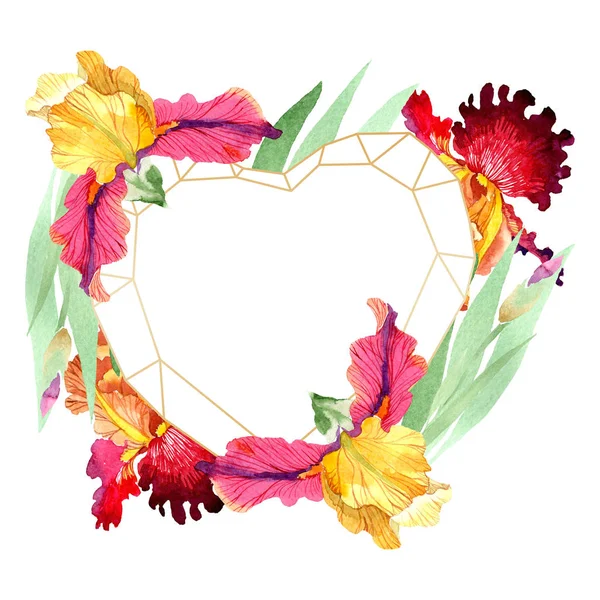 Red Bold Encounter Iris Floral Botanical Flowers Watercolor Background Illustration Set Frame