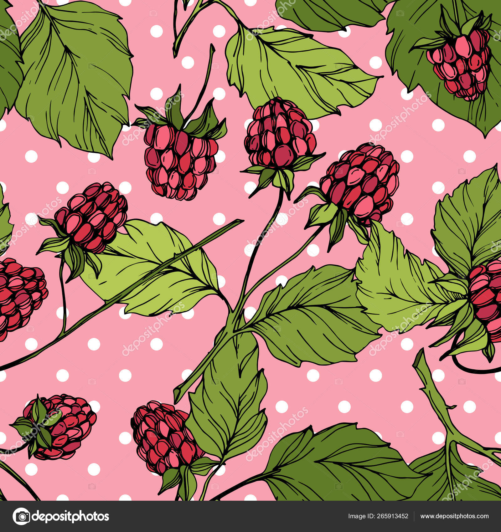 Vector Raspberry healthy food isolated. Red and green engraved ink art ...