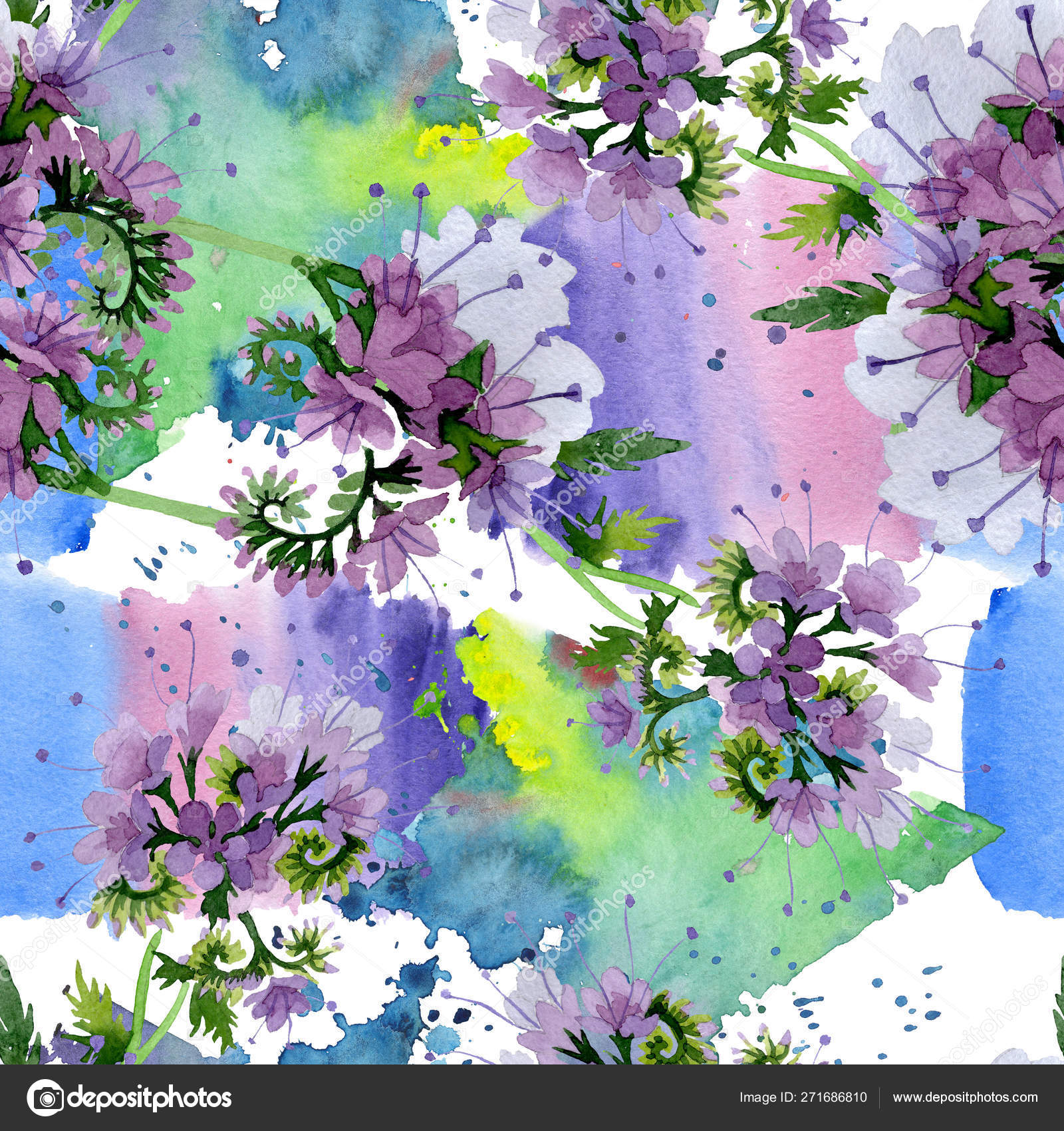 Violet phaselia foral botanical flowers. Watercolor background ...