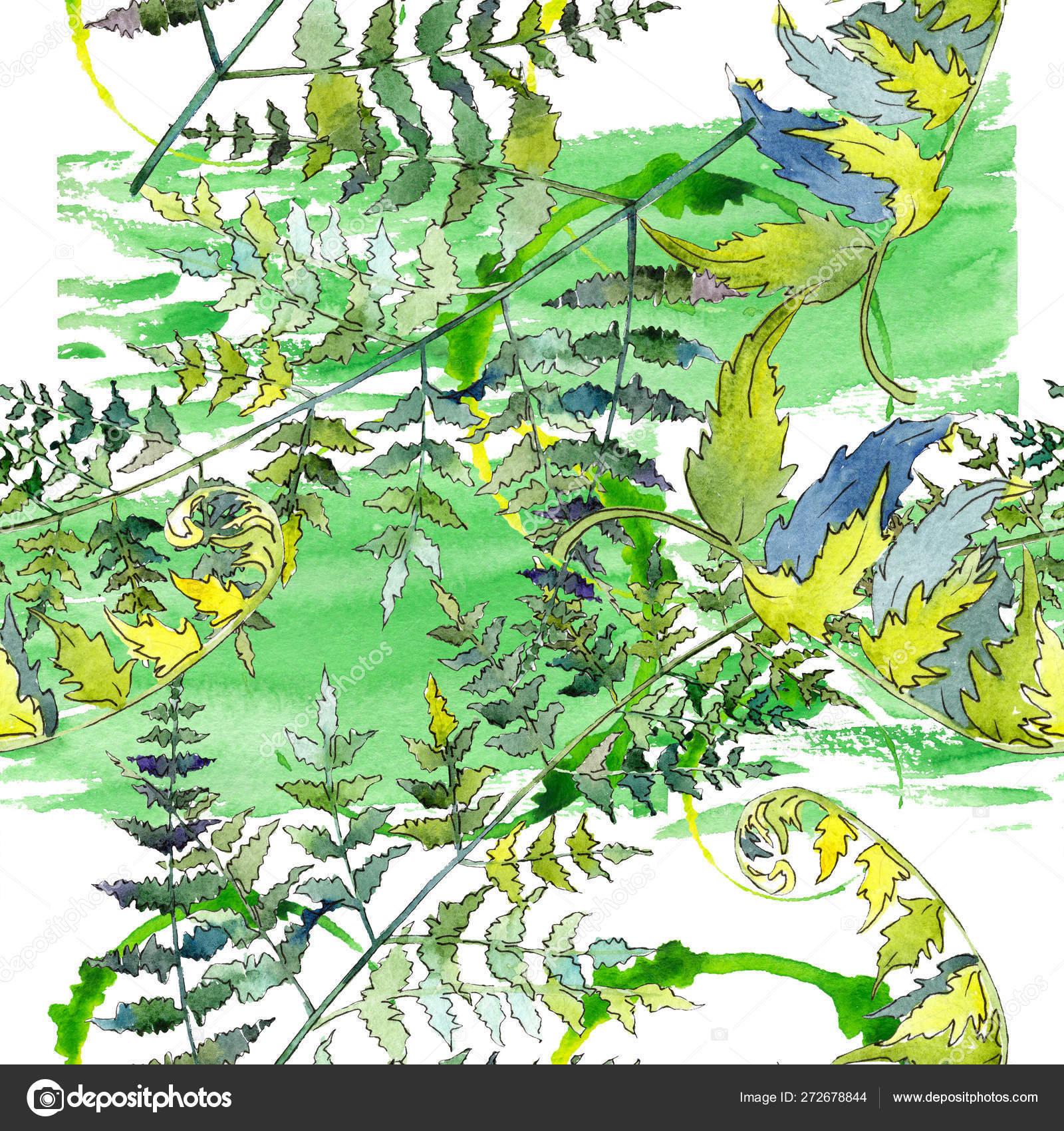 Fern green leaves. Watercolor background illustration set. Seamless ...