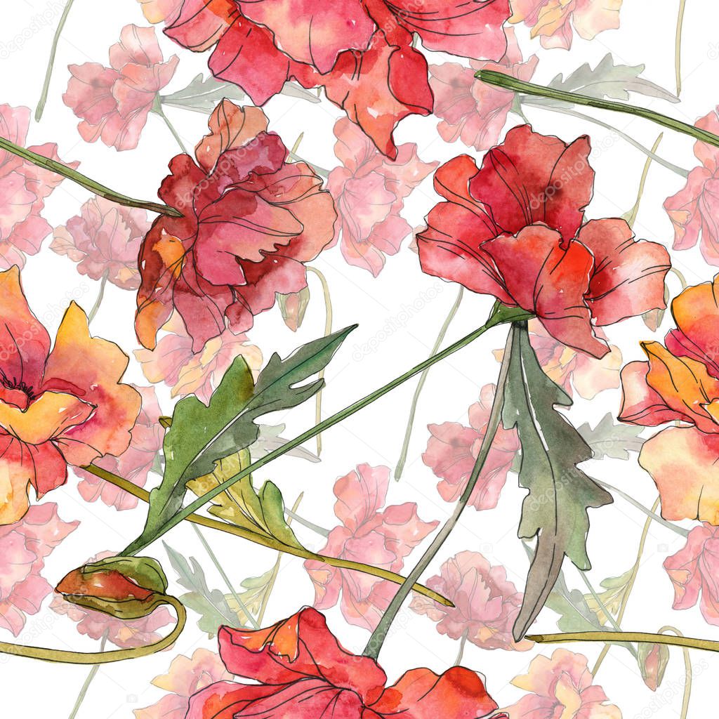 Flores botánicas florales de amapola roja. Conjunto de ilustración de fondo acuarela. Patrón de ...