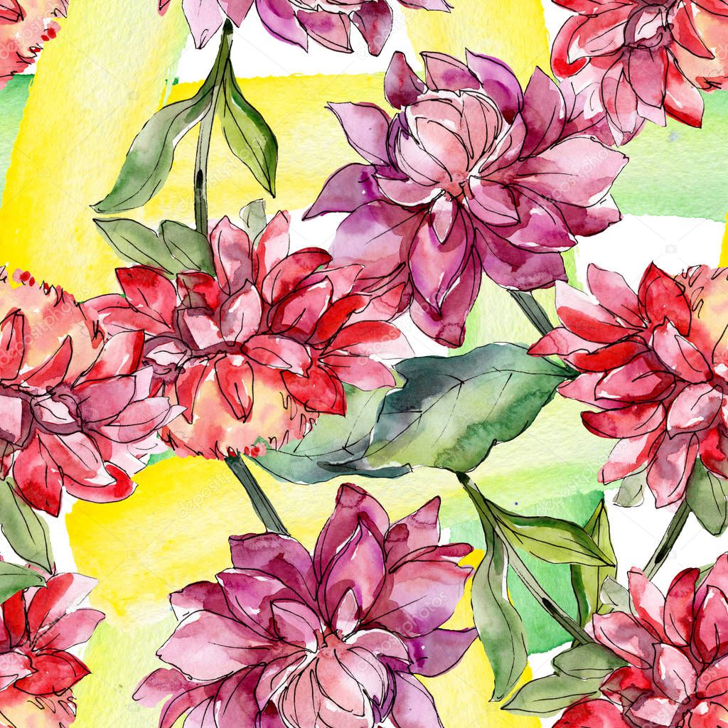 Mishaelmas margarita flores botánicas florales. Conjunto de ilustración de fondo acuarela ...