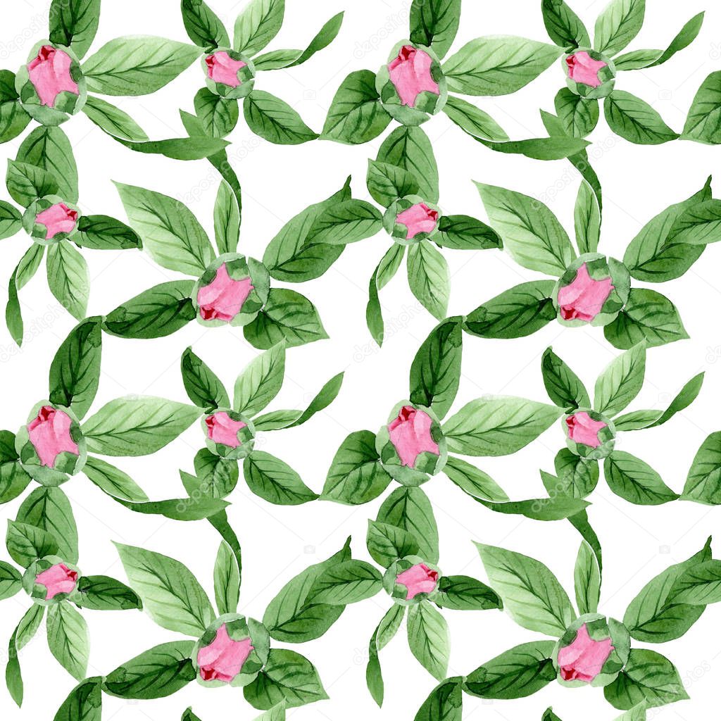 Rosa camelia flores botánicas florales. Conjunto de ilustración de fondo acuarela. Patrón de ...