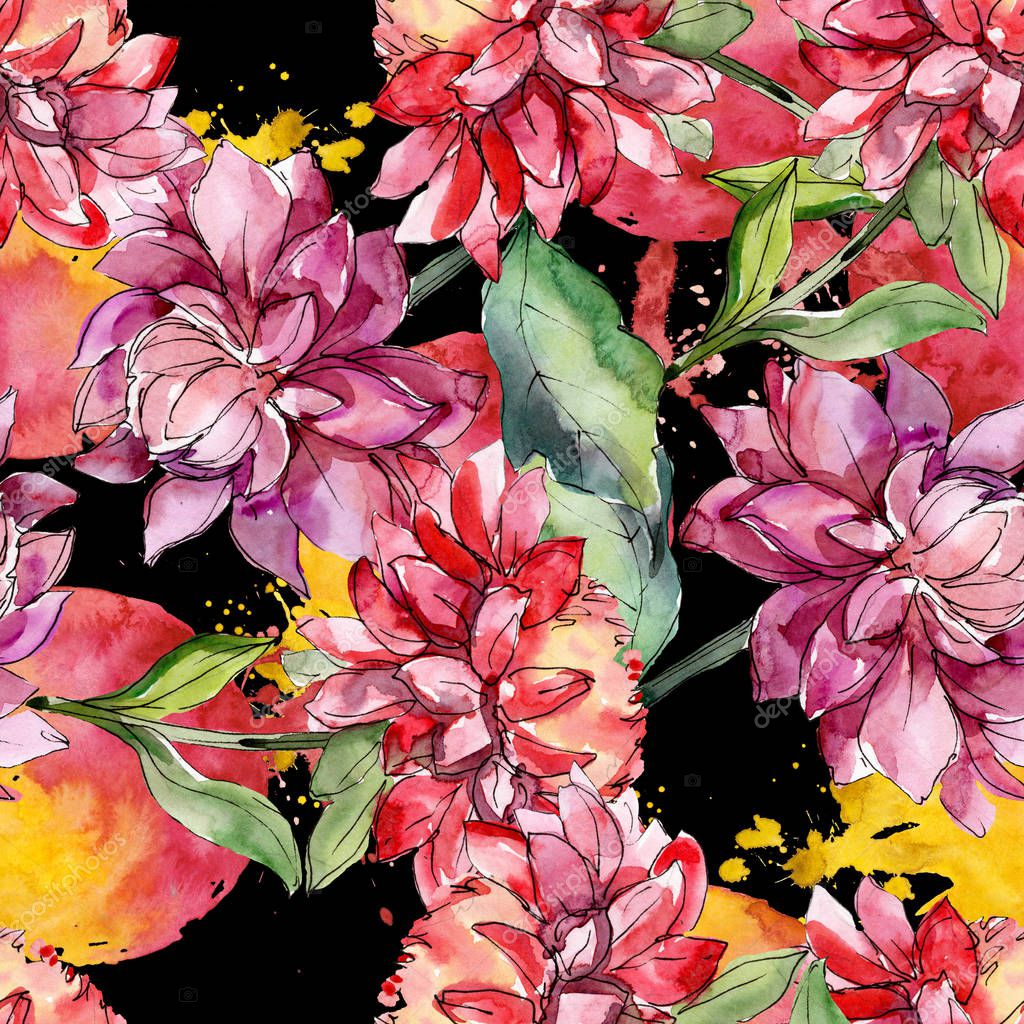 Mishaelmas margarita flores botánicas florales. Conjunto de ilustración de fondo acuarela ...