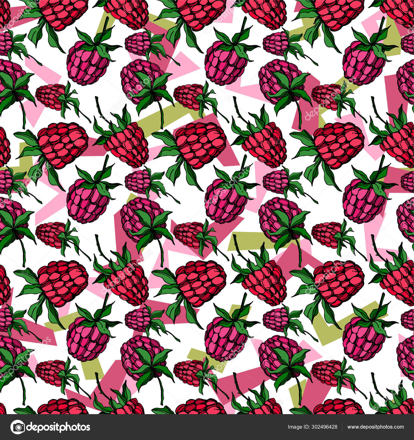 Vector Raspberry healthy food isolated. Black and white engraved ink art. Seamless background ...