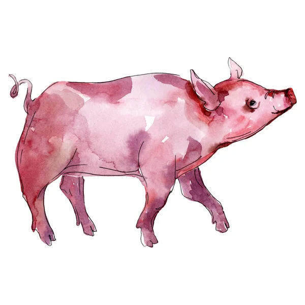 Pid Stock Photos, Royalty Free Pid Images | Depositphotos