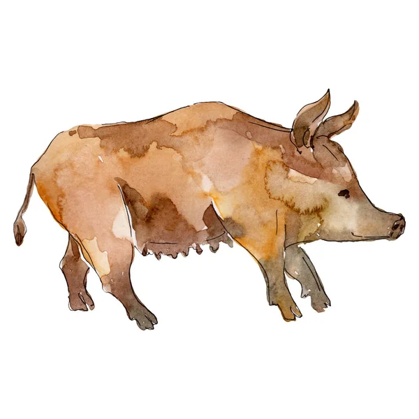 Pid Stock Photos, Royalty Free Pid Images | Depositphotos