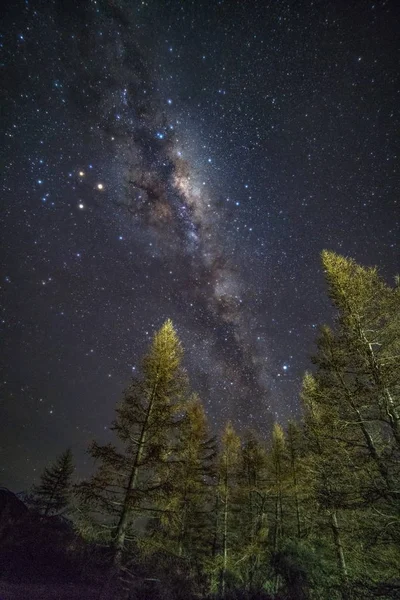 Milky way trees Stock Photos, Royalty Free Milky way trees Images ...