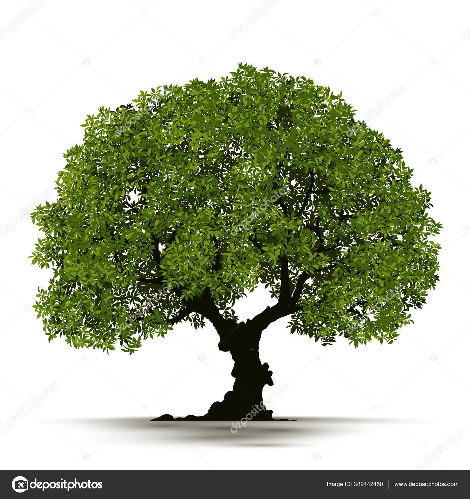 Illustration Realistic Tree Isolated White Background Vector Stock ...