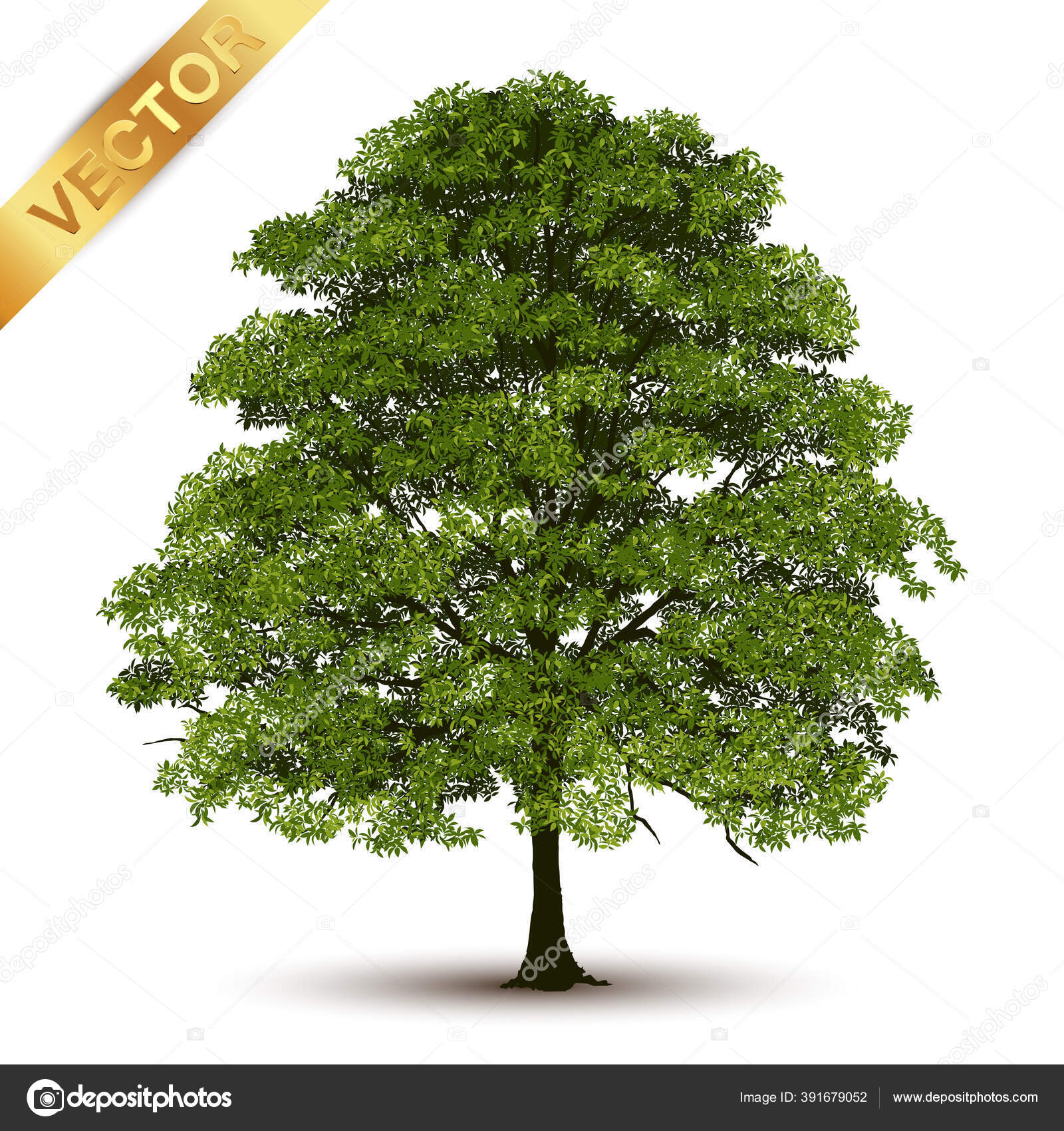 Illustration Realistic Tree Isolated White Background Vector Can Used ...