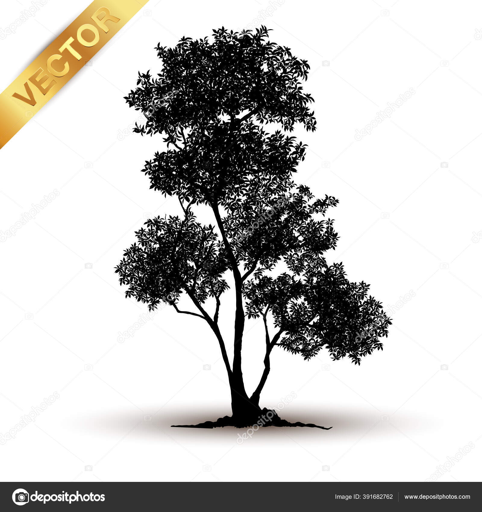 Tree Silhouette Isolated White Background Stock Vector Image by ...