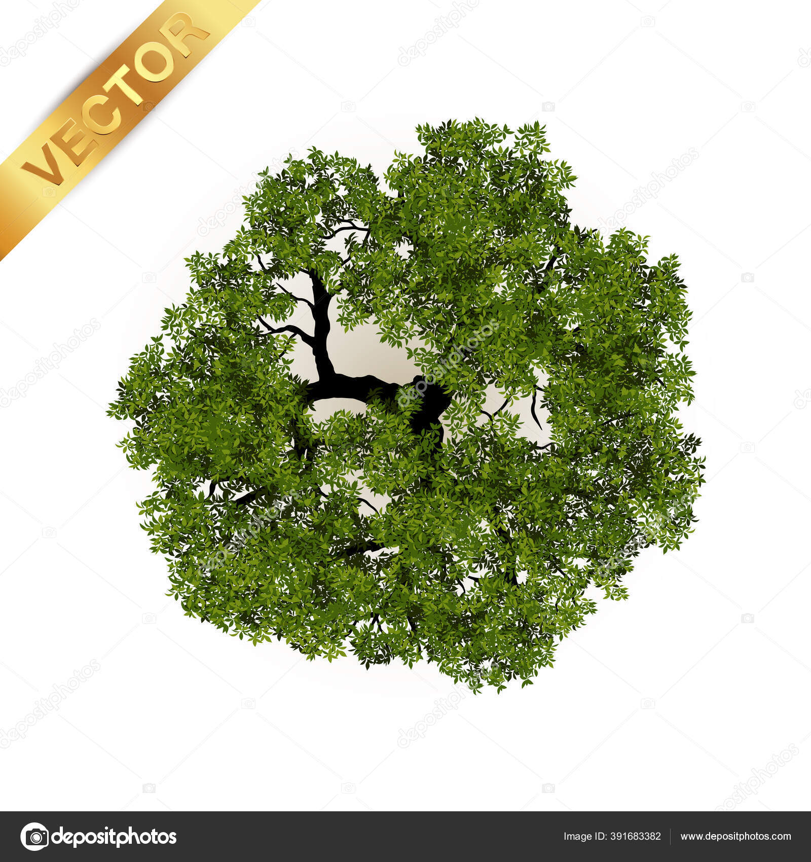Tree Top View Landscape Vector Illustration Stock Vector by ... Tree Top View Landscape Vector Illustration Stock Vector by ...