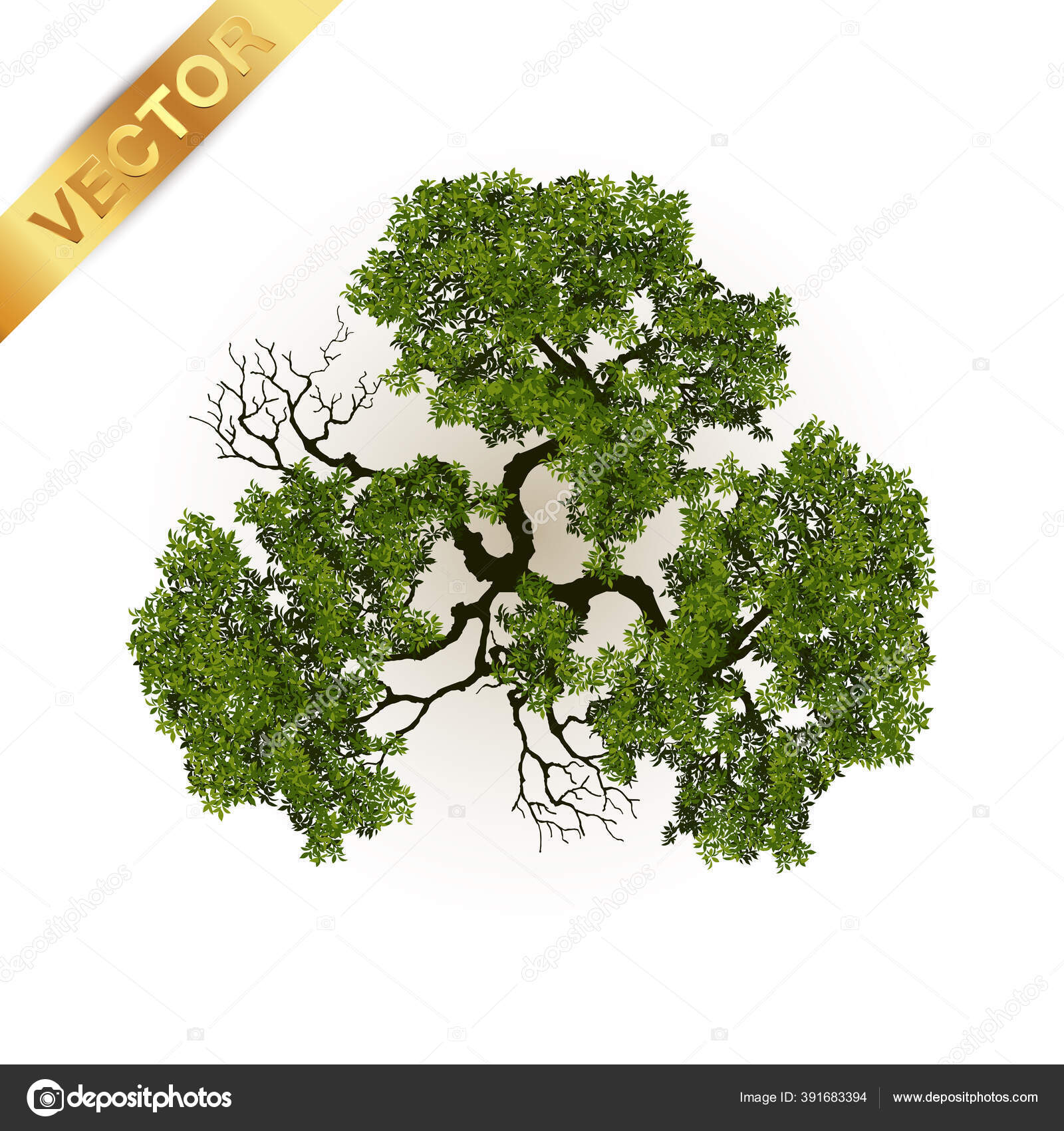 Tree Top View Landscape Vector Illustration Stock Vector Image by ...