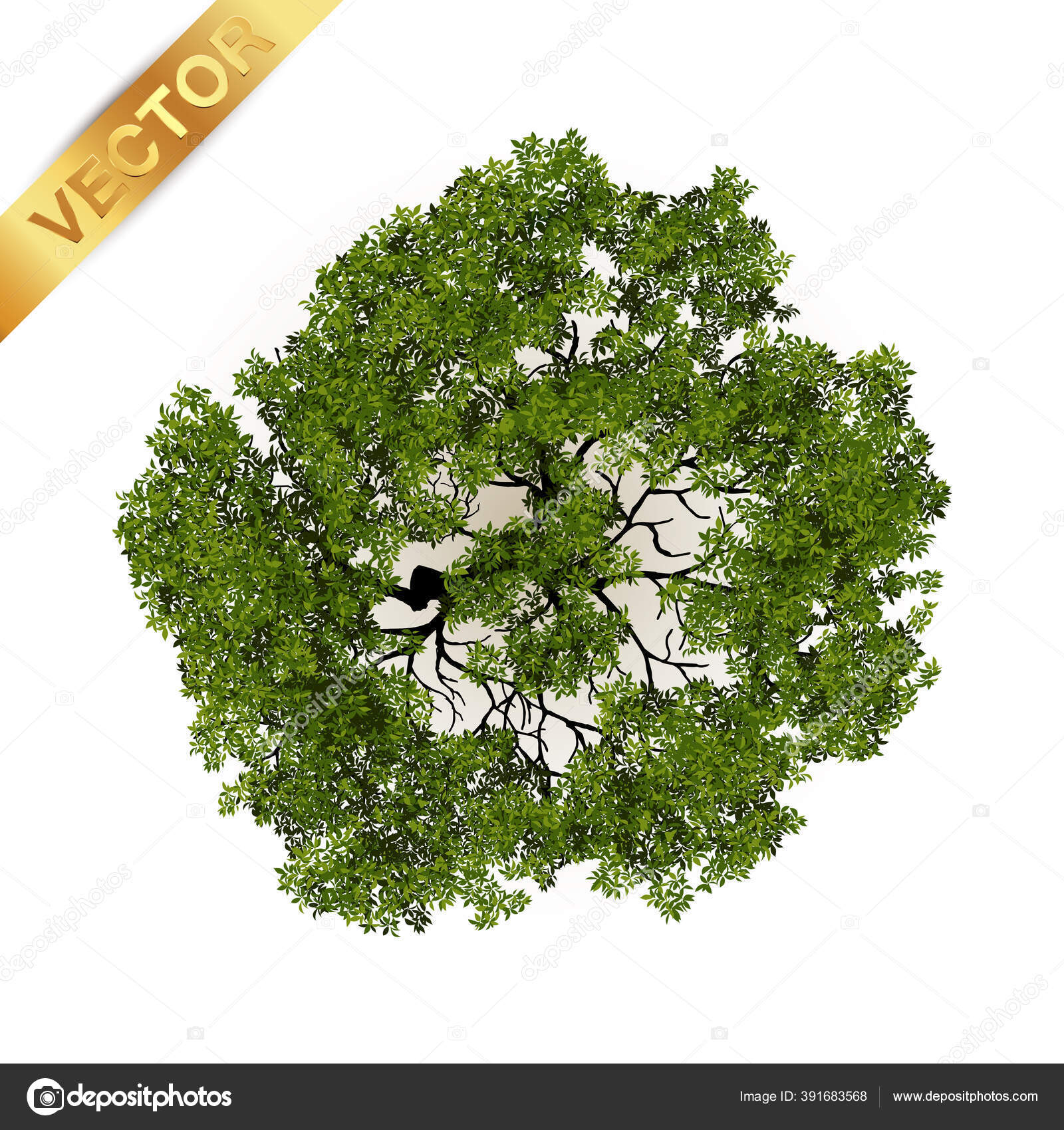 Tree Top View Landscape Vector Illustration Stock Vector Image by ...