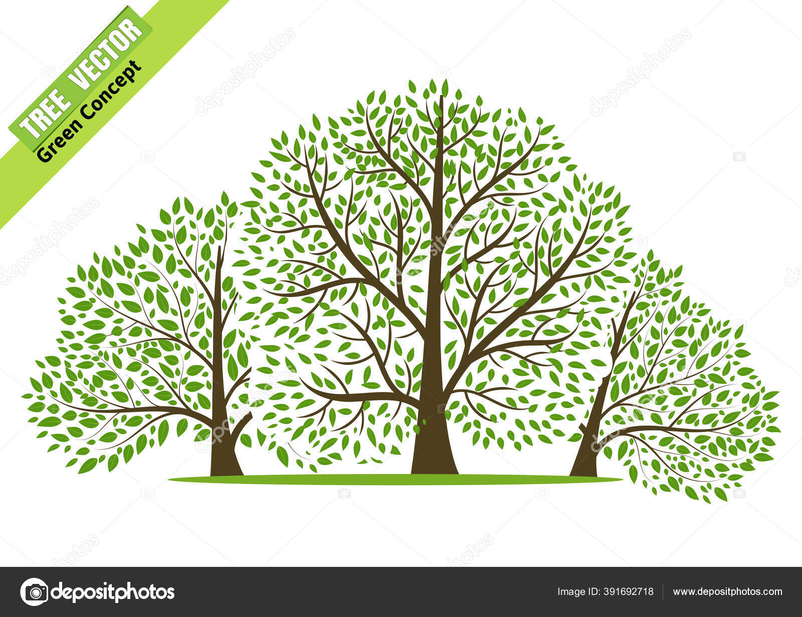 Beautiful Tree White Background Stock Vector Image by ©Nikhomtreevector ...