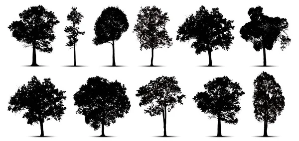 Tree Silhouettes White Background Vector Illustration Stock Vector by ...