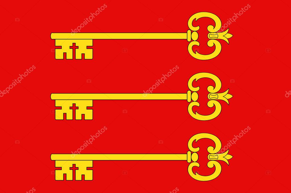 Bandera de Aviñón en Vaucluse es un departamento de Francia 2024