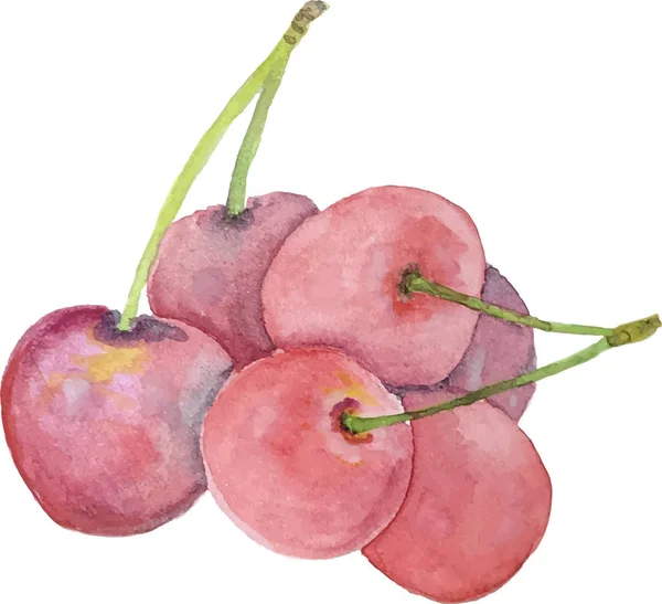 Cereza de dibujo acuarela fotos de stock, imágenes de Cereza de dibujo ...