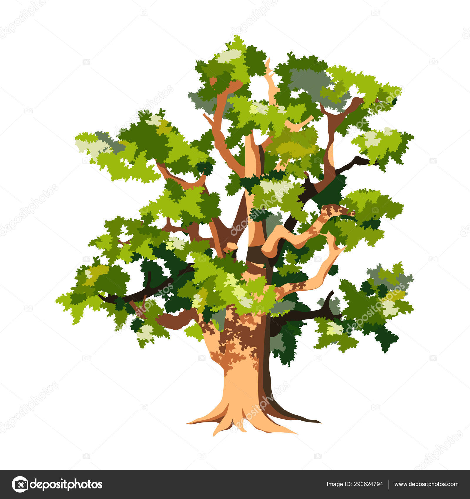 Große Eiche Clipart 229.600+ Fotos, Bilder Und Lizenzfreie Bilder Zu