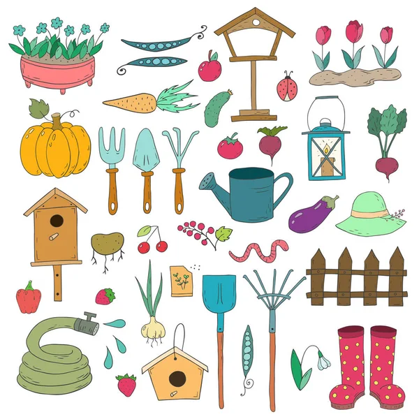 Cute garden set — Stock Vector © vyazovskaya #73018707