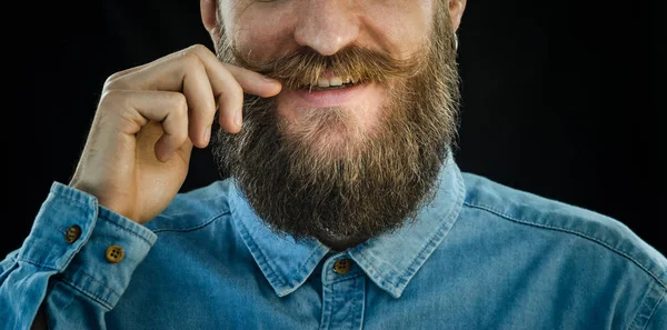 Swedish Man Beard
