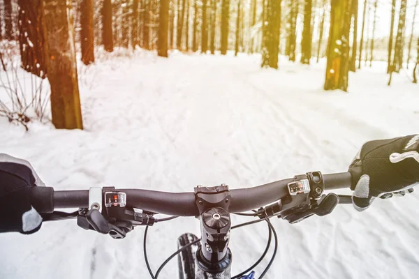 First-person view of cyclist in the winter forest. Wnter mountain bike ...