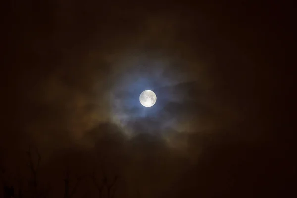 Foggy moon Stock Photos, Royalty Free Foggy moon Images | Depositphotos