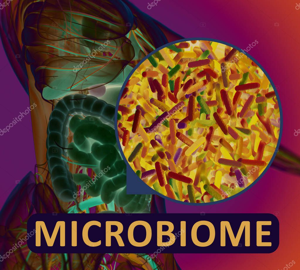 Bacterias intestinales microbioma ilustración microscópica. Ilustración ...