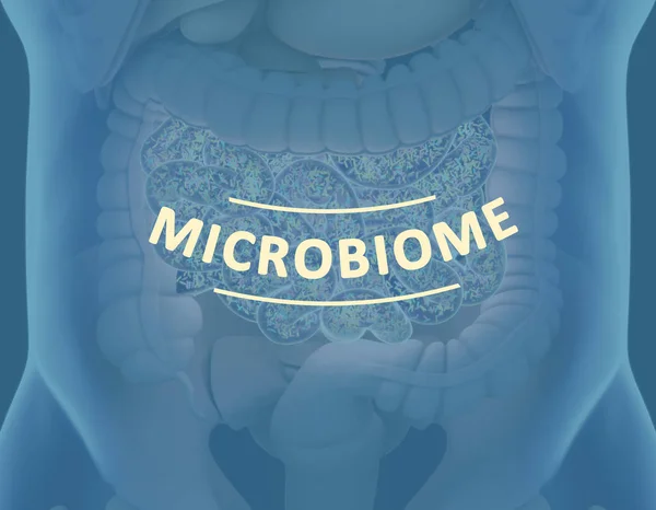 Gut bacteria, microbiome. Bacteria inside the large intestine, concept ...