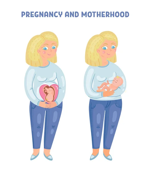 First trimester Vector Art Stock Images | Depositphotos