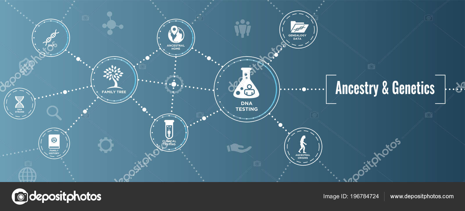 Ancestry Genealogy Icon Set Web Banner Family Tree Album Family Stock ...