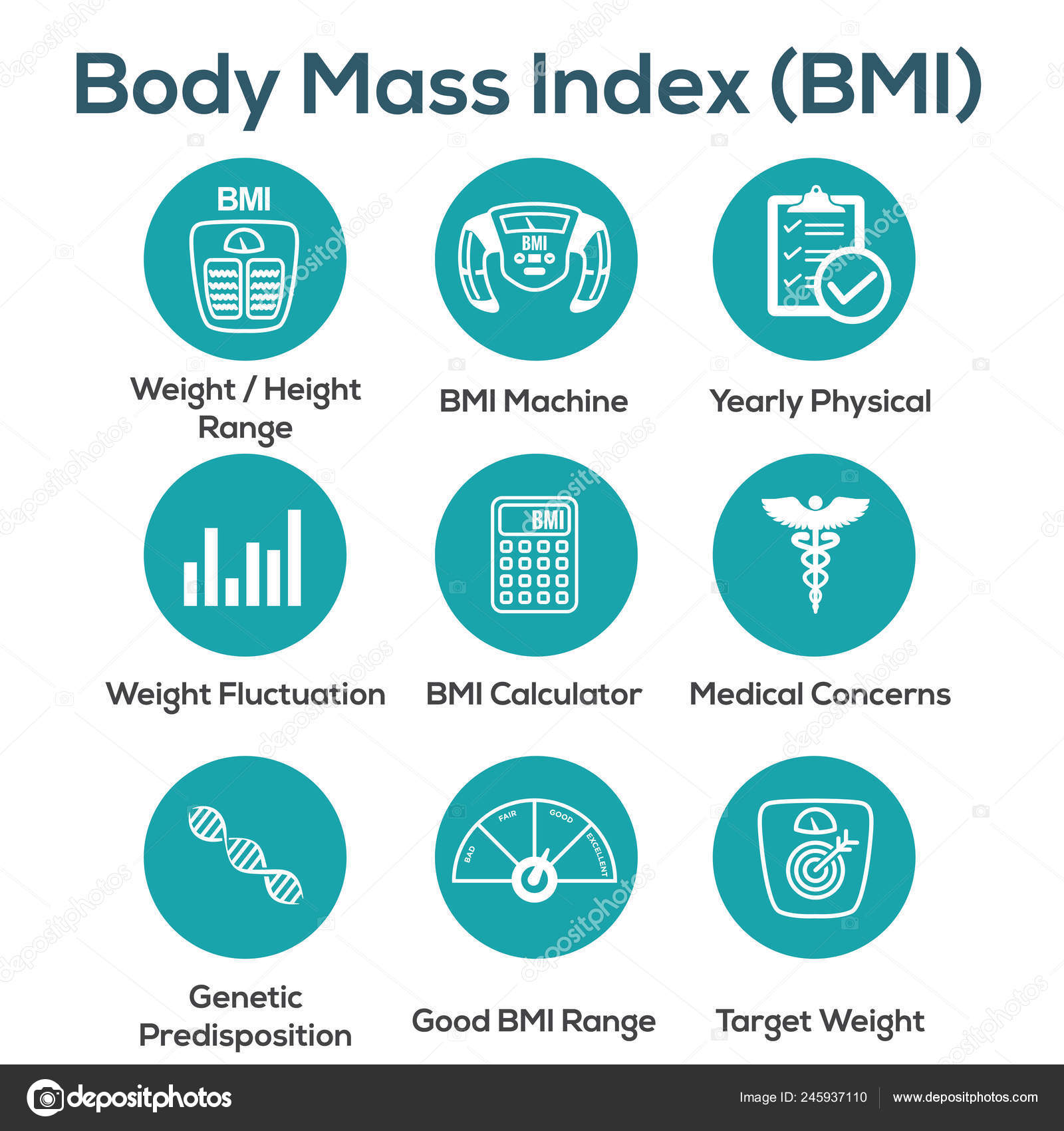 Índice Masa Corporal Imc Iconos Escala Indicador Calculadora Vector de ...